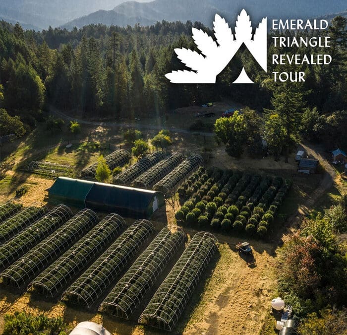 加州传奇大麻农场地区大地震！波及西海岸沿线530万人！俄勒冈州Salem有感！ - 摩登时讯｜美西新闻